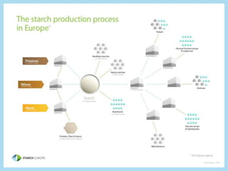 The production process of starch | PPTX