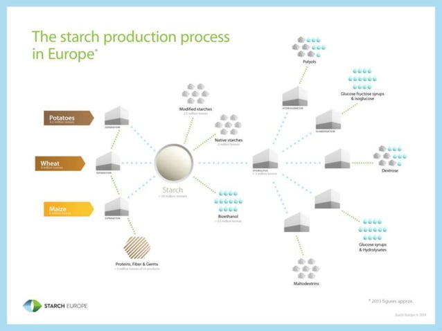 The production process of starch | PPTX | Desserts and Baking | Food ...