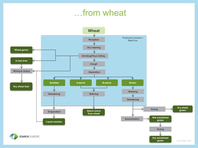 The production process of starch | PPTX | Desserts and Baking | Food ...