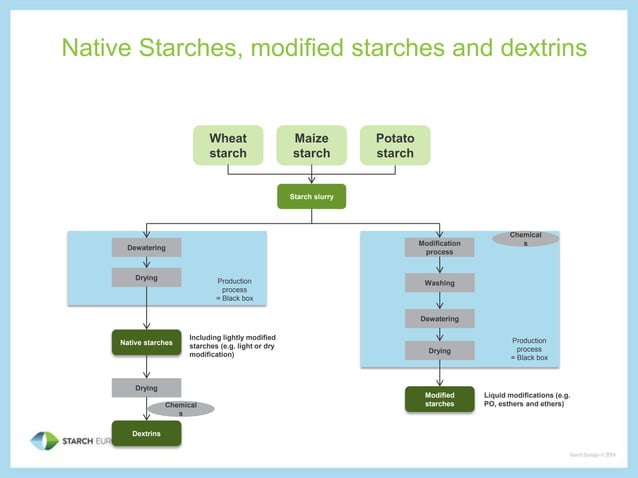 The production process of starch | PPTX | Desserts and Baking | Food ...