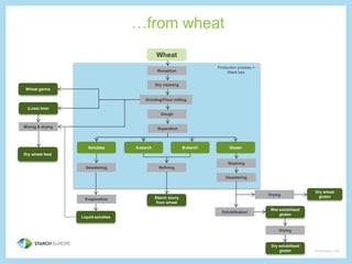 The production process of starch | PPTX | Desserts and Baking | Food ...