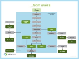 The production process of starch