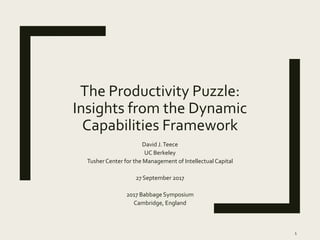 The Productivity Puzzle: Insights from the Dynamic Capabilities ...