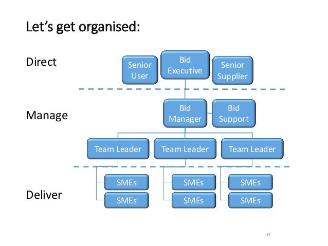 The project manager's survival guide to bids, tenders and proposals,