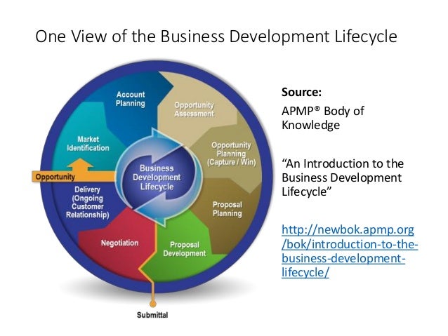 The project manager's survival guide to bids, tenders and proposals,
