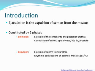 Mechanical Devices for the Treatment of Premature Ejaculation | PPT ...