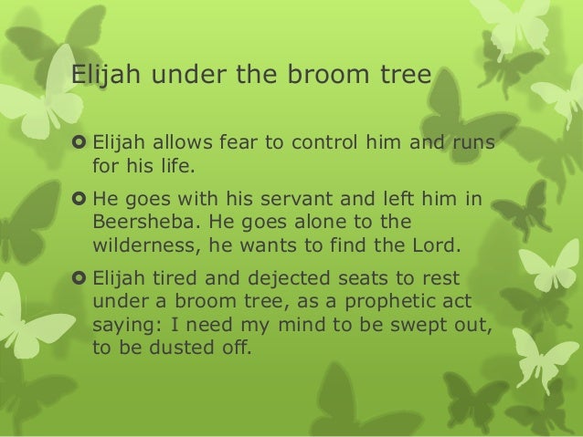 The prophet Elijah, a model of Seer