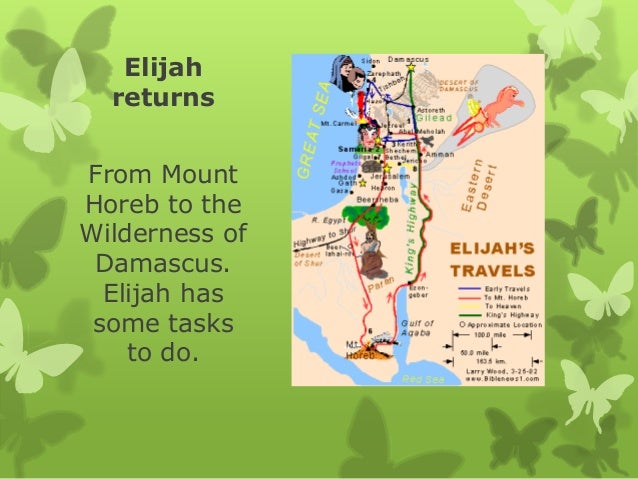 The prophet Elijah, a model of Seer