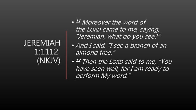 The Prophet Jeremiah | PPTX
