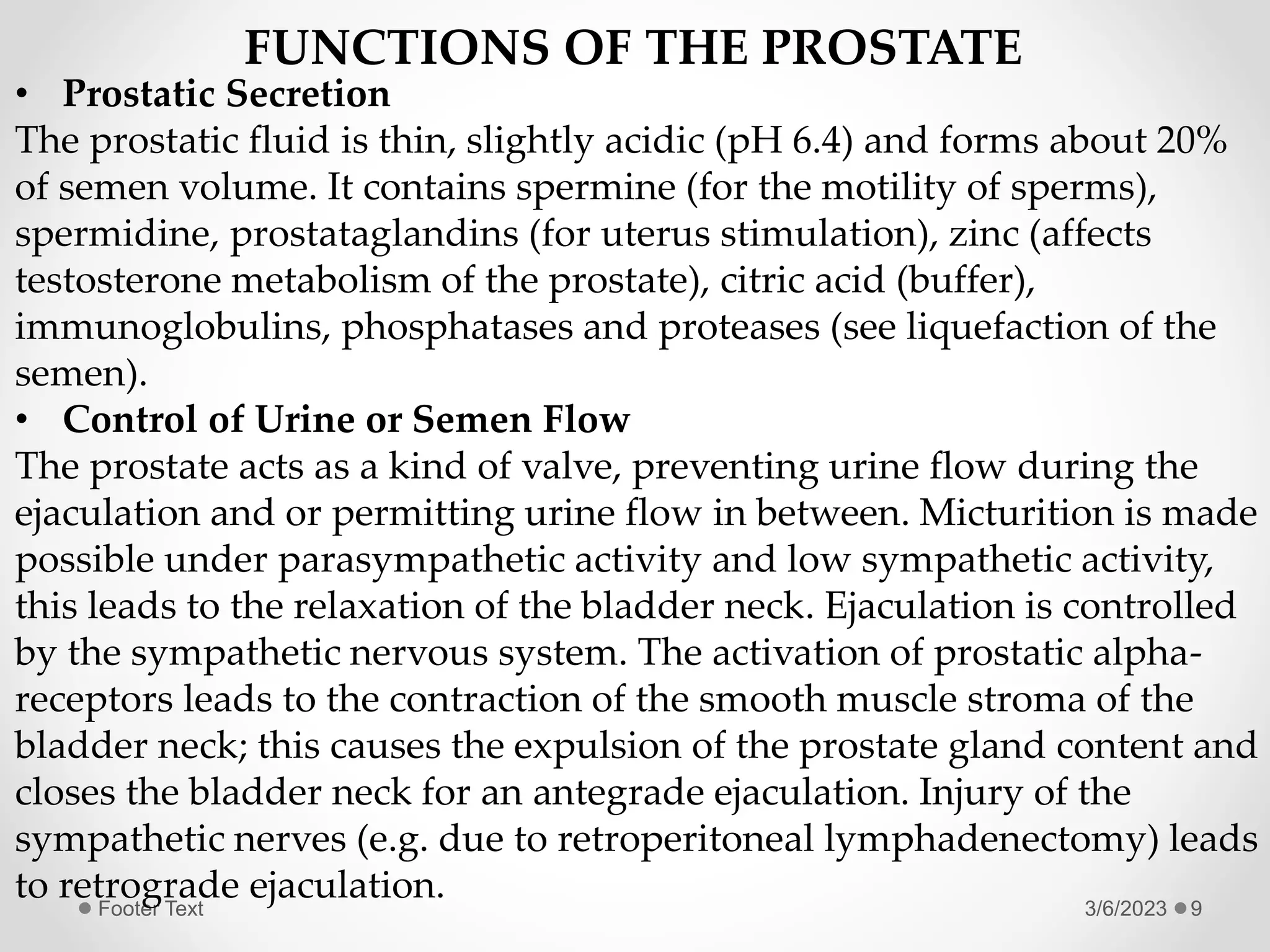 The Prostate Gland.pptx