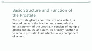 The Prostate's Impact on Ejaculation- An In-Depth Look.pptx