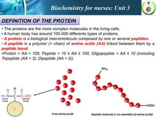 The proteins | PPTX