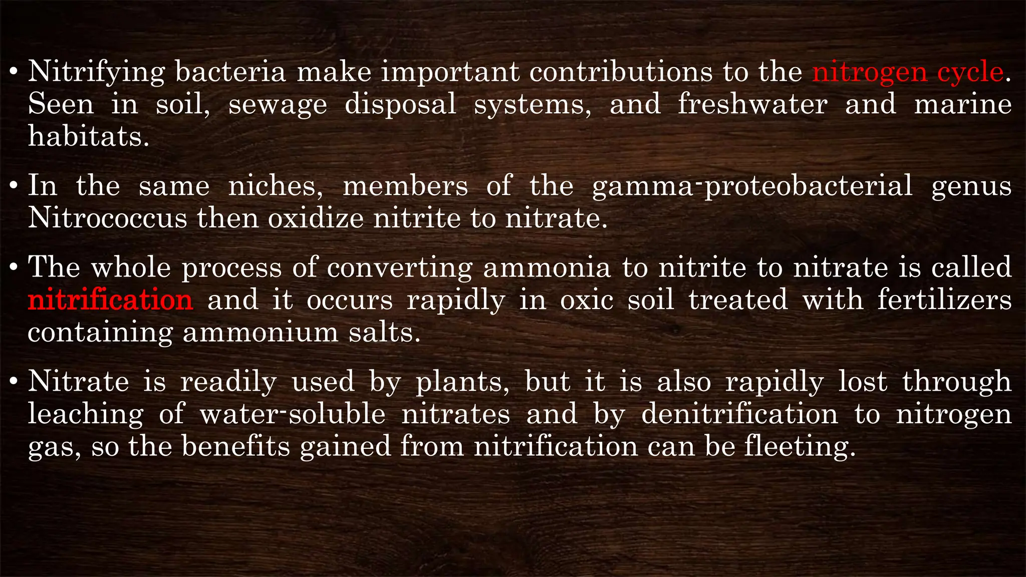 THE GENERAL PROPERTIES OF PROTEOBACTERIA AND ITS TYPES | PPTX