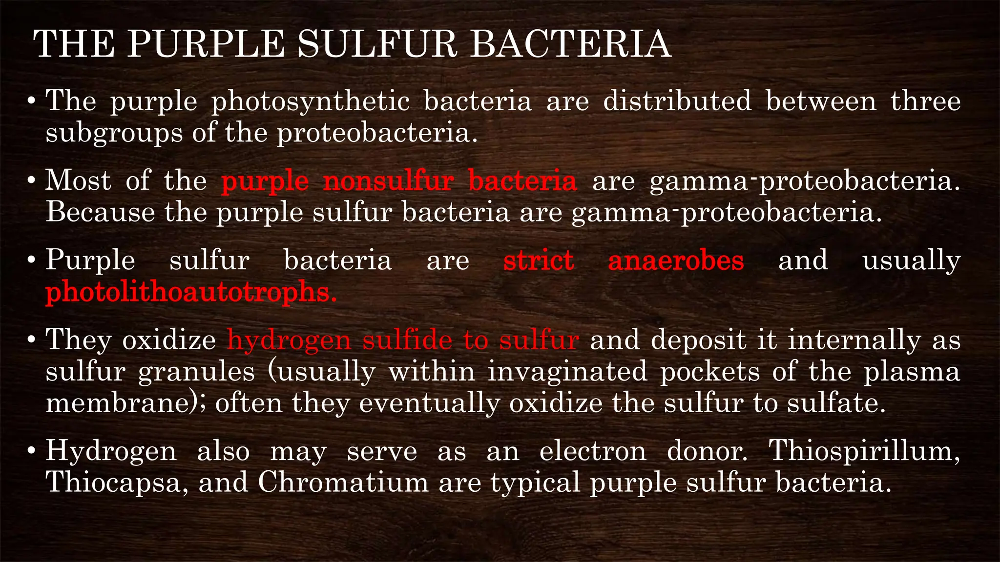 THE GENERAL PROPERTIES OF PROTEOBACTERIA AND ITS TYPES | PPTX