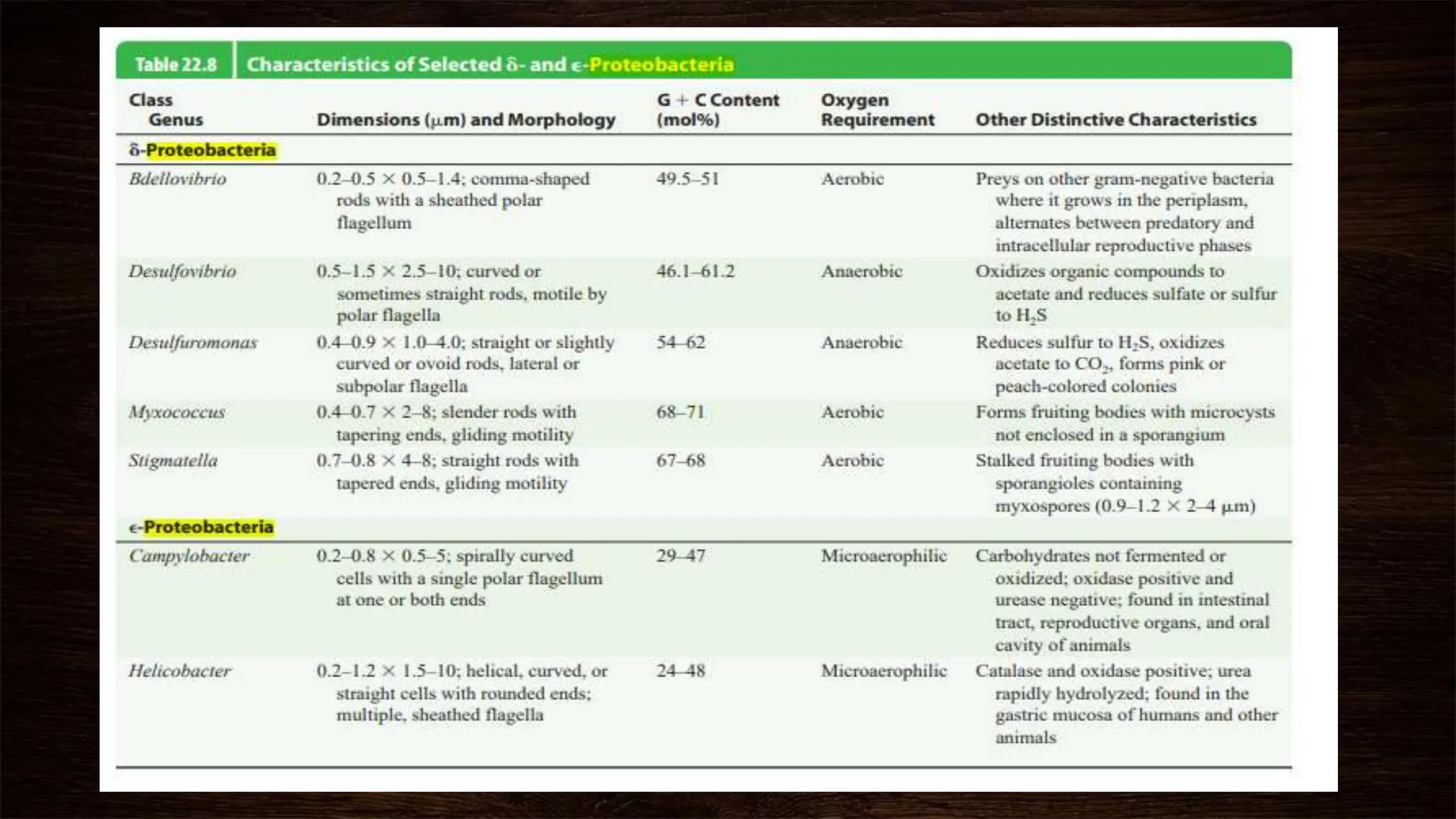 THE GENERAL PROPERTIES OF PROTEOBACTERIA AND ITS TYPES | PPTX