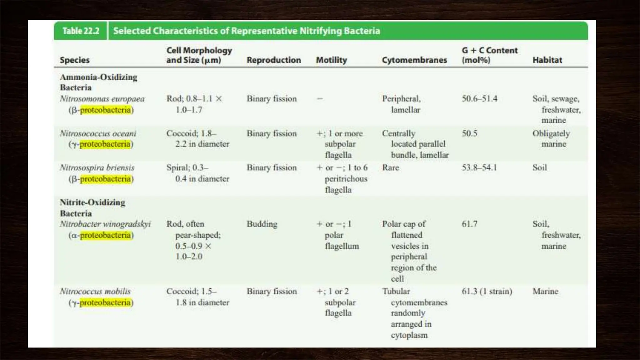 THE GENERAL PROPERTIES OF PROTEOBACTERIA AND ITS TYPES | PPTX