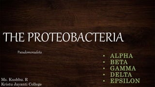 THE GENERAL PROPERTIES OF PROTEOBACTERIA AND ITS TYPES | PPTX