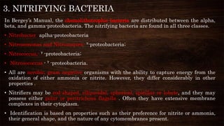 THE GENERAL PROPERTIES OF PROTEOBACTERIA AND ITS TYPES | PPTX
