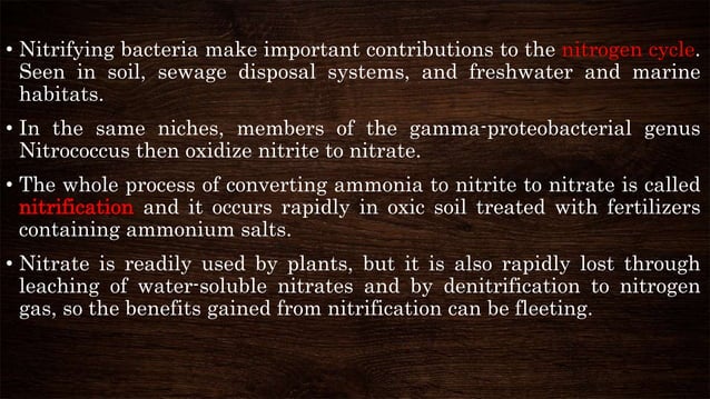 THE GENERAL PROPERTIES OF PROTEOBACTERIA AND ITS TYPES | PPTX