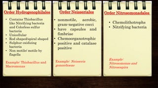 THE GENERAL PROPERTIES OF PROTEOBACTERIA AND ITS TYPES | PPTX