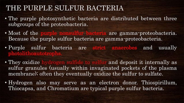 THE GENERAL PROPERTIES OF PROTEOBACTERIA AND ITS TYPES | PPTX