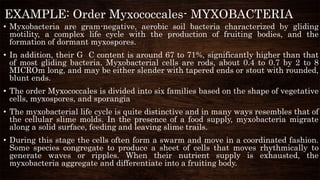 THE GENERAL PROPERTIES OF PROTEOBACTERIA AND ITS TYPES | PPTX