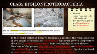 THE GENERAL PROPERTIES OF PROTEOBACTERIA AND ITS TYPES | PPTX