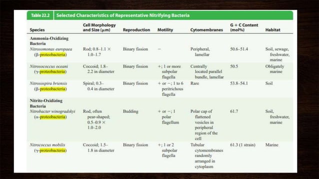 THE GENERAL PROPERTIES OF PROTEOBACTERIA AND ITS TYPES | PPTX
