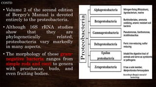 THE GENERAL PROPERTIES OF PROTEOBACTERIA AND ITS TYPES | PPTX