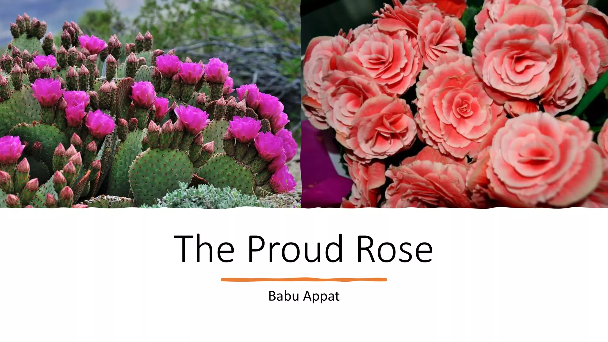 The proud rose and poor cactus | PPTX