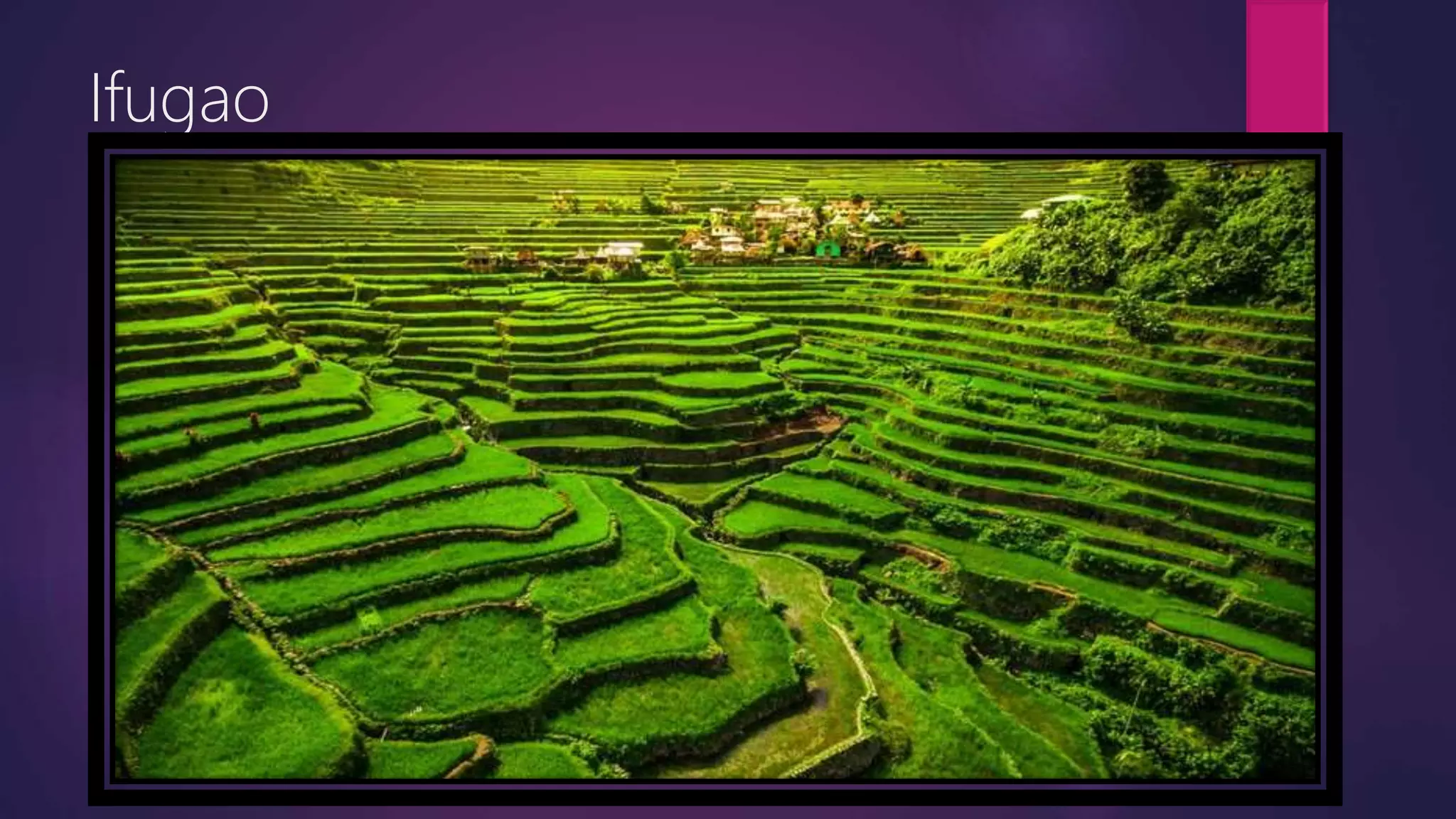 The Prowess of Aliguyon | PPTX