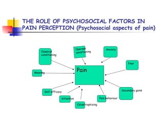 THE PSYCHOLOGY OF PAIN.pptx Health Psychology class for the ...