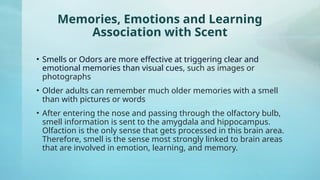 The Psychology of Scent Power Point Presentation | PPTX