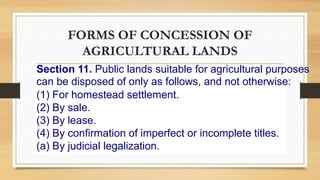 The public domain classification of natural resources | PPTX