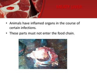 The public health importance of improving the red meat value chain | PPT