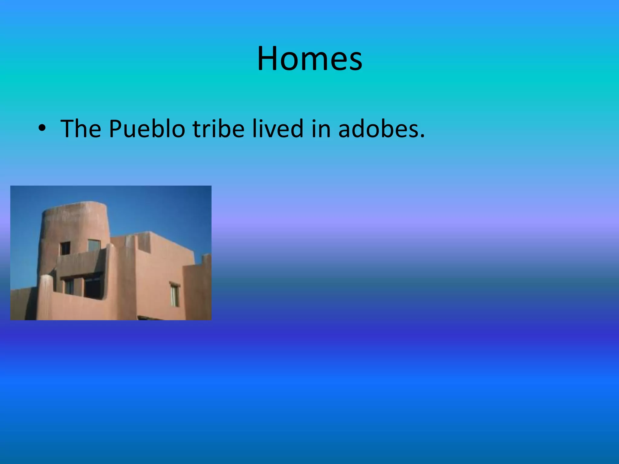The Pueblo Tribe | PPT