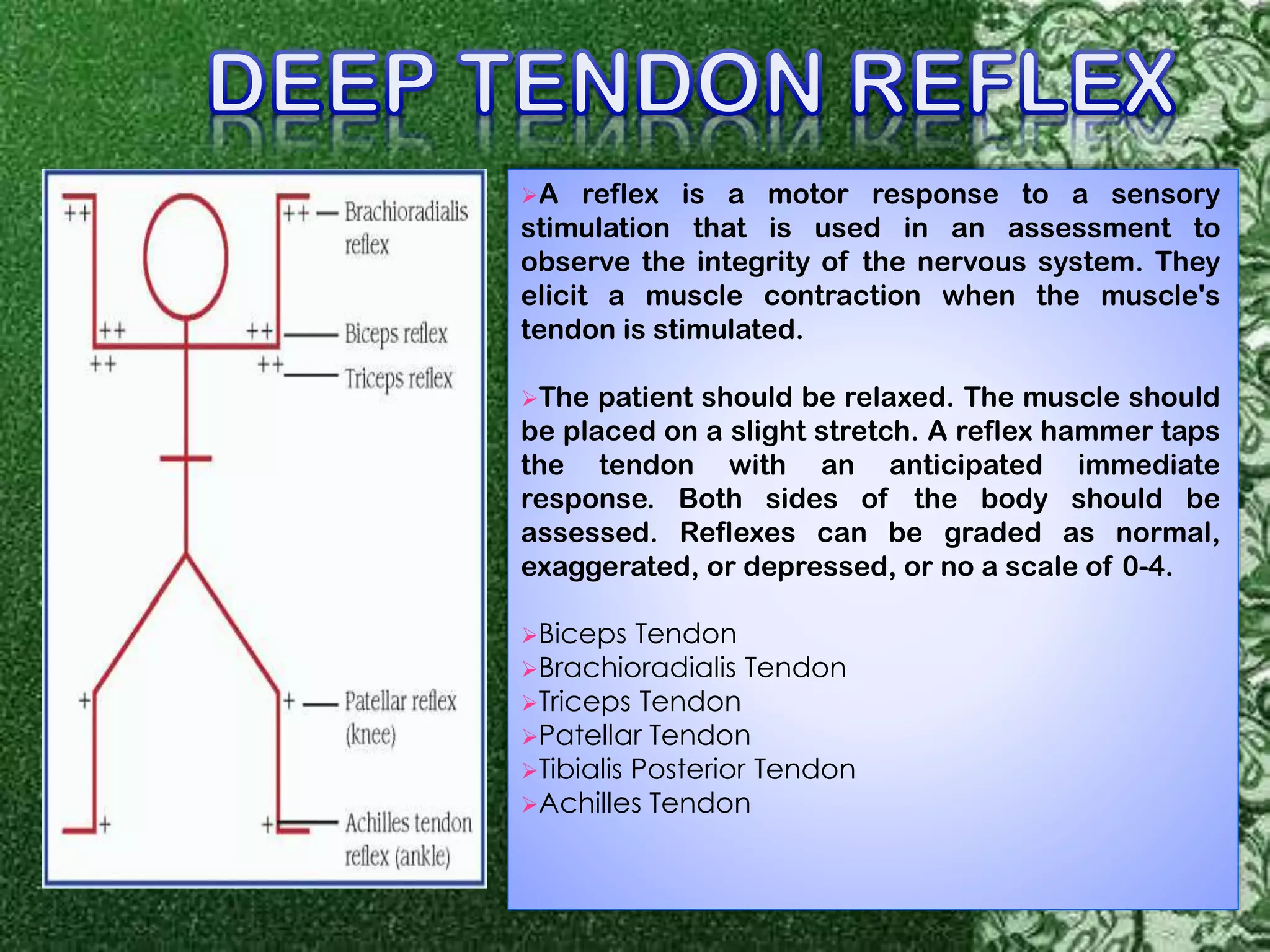The Pulse and Deep Tendon Reflex Grading Scale | PPTX