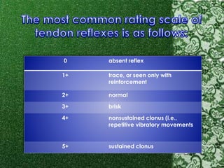 The Pulse and Deep Tendon Reflex Grading Scale | PPTX