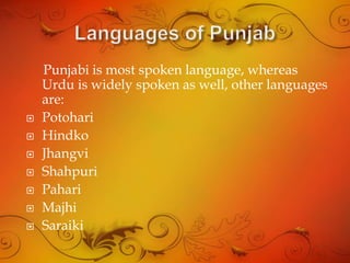 The Punjabi Culture | PPT