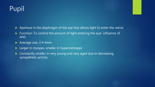 The pupil and it’s abnormalities | PPTX | Eye and Vision Conditions ...
