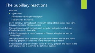 The pupil and it’s abnormalities | PPTX