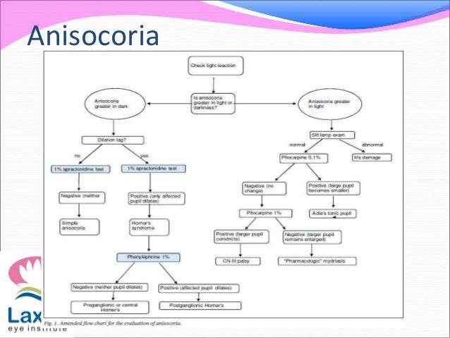 The pupillary pathway and its clinical aspects