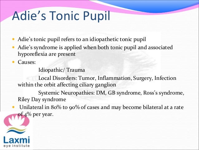 The pupillary pathway and its clinical aspects