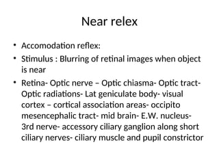 The Pupillary Pathways ophthalmology.ppt