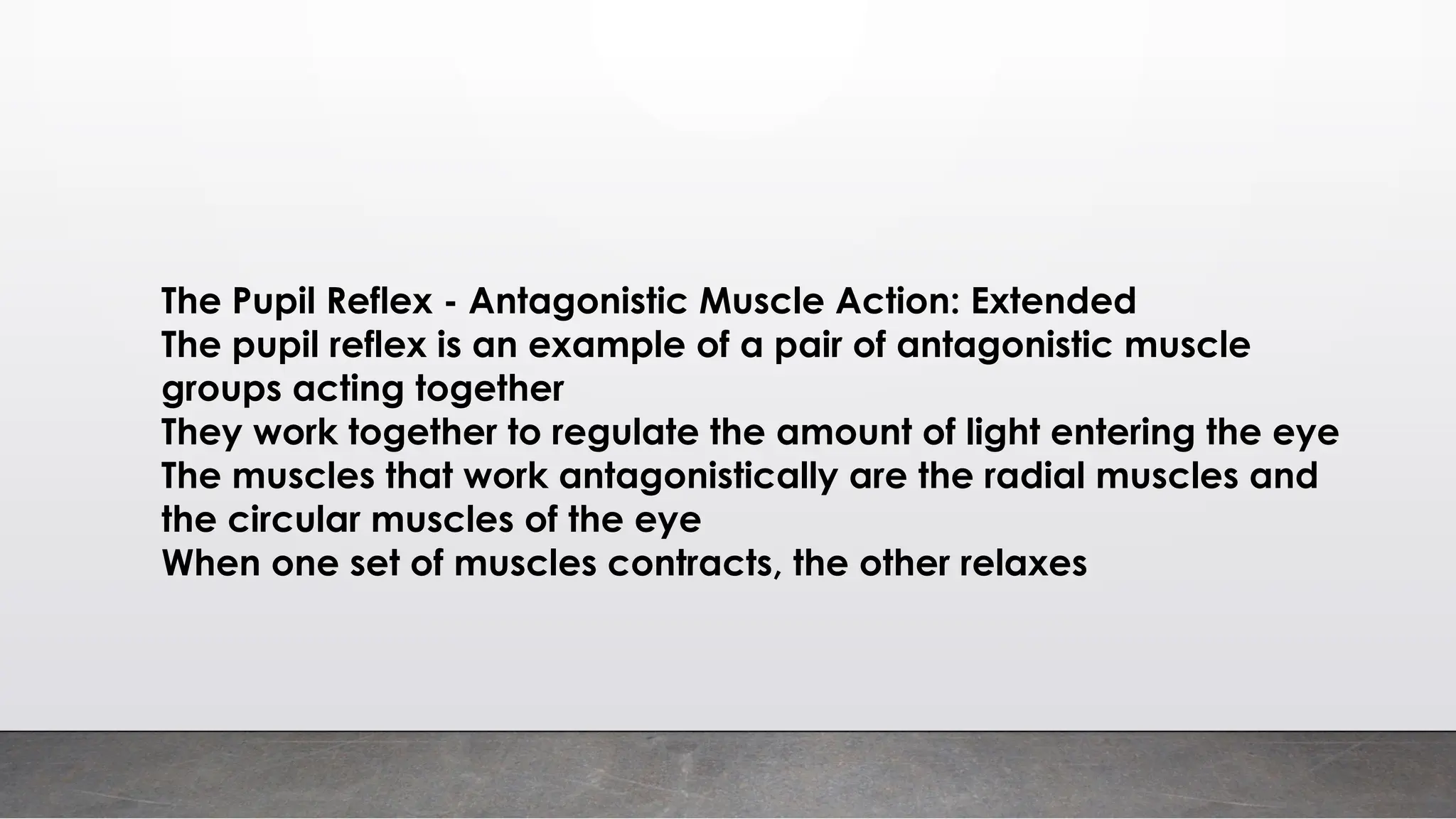 The Pupil Reflex.pptx IGCSE COORDINATION | PPTX