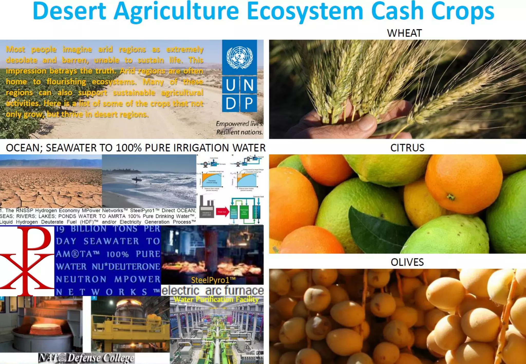 The PVHL UNCCD USA.Gov Smart Senses Strategic Action Plan for Combating ...