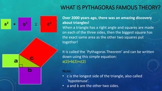 The Pythagoras Theorem | PPTX