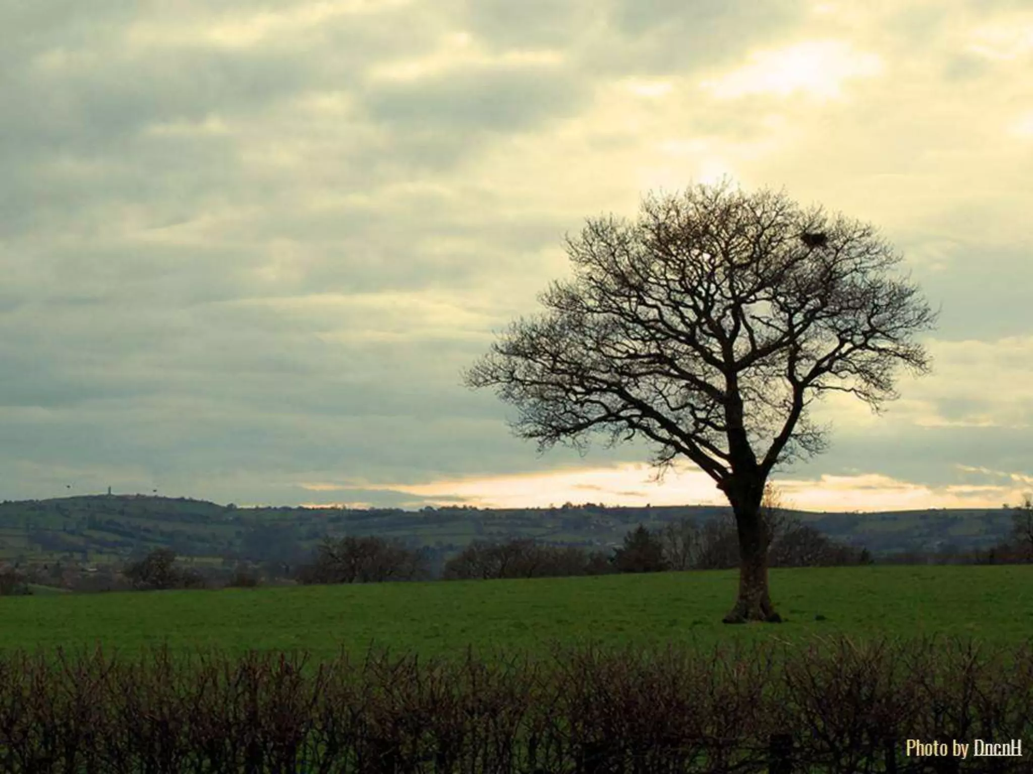 The Quakers: A Brief History | PPTX