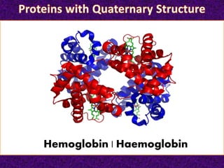 Quaternary Structure Of Protein