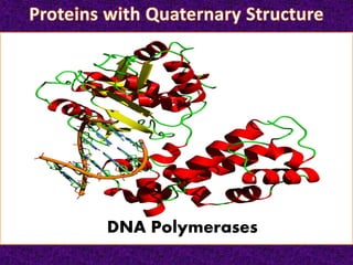 Quaternary Structure Of Dna